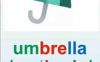 umbrella是什么意思_umbrella品牌有哪些