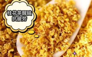 桂花茶的功效与作用及禁忌_桂花泡水喝的注意事项