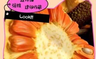 菠萝蜜视频播放卡顿怎么办_如何提升菠萝蜜视频播放速度