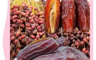 黑椰枣的功效与作用_黑椰枣怎么吃最好