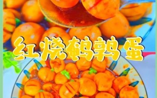 鹌鹑蛋怎么煮好吃_儿童家常做法