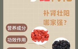 黑枸杞补肾好还是红枸杞_哪个更有效
