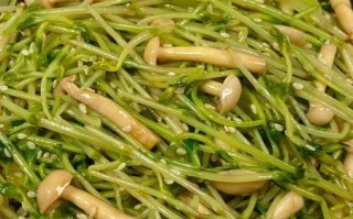 豌豆苗怎么炒好吃_豌豆苗的做法大全家常菜