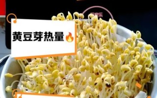 黄豆芽热量高吗_减肥可以吃黄豆芽吗