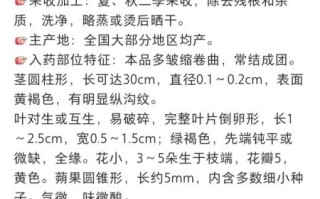 马齿苋的功效与副作用_孕妇能吃吗