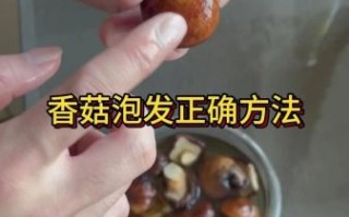 干花菇怎么泡发_干花菇怎么做简单又好吃