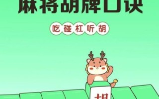 麻将怎么玩_新手入门视频教学