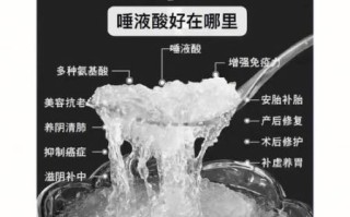 燕窝的功效与作用_燕窝怎么吃最好