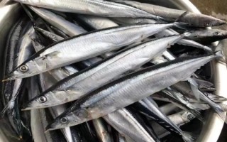 秋刀鱼为什么那么便宜_秋刀鱼价格低的真实原因