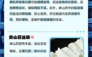 麻山药的功效与作用_麻山药怎么吃最养胃