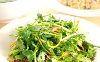 香菜怎么做好吃_香菜的做法大全