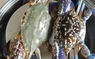 花蟹多少钱一斤_花蟹价格为什么波动这么大