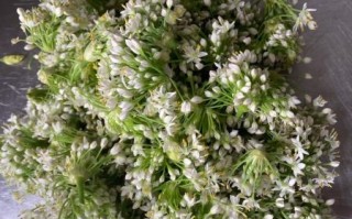 腌制的韭菜花能放多久_如何延长保存时间