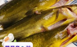 黄骨鱼的营养价值_黄骨鱼的禁忌人群