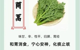 茼蒿菜的营养价值_茼蒿菜的功效与作用