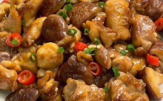 鸡腿肉怎么做好吃_鸡腿肉的家常做法大全