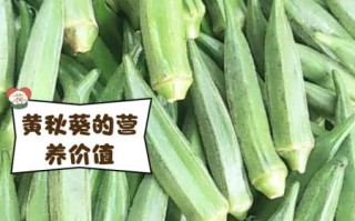 黄秋葵怎么做好吃又简单_黄秋葵最简单的家常做法