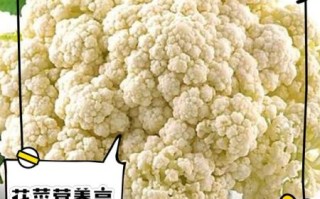 花菜热量是多少_减肥能吃花菜吗