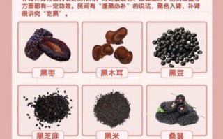 肾虚吃什么食物能补男_男人肾虚食补吃什么好