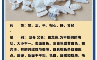 龙骨的功效与作用及主治_龙骨怎么用才有效