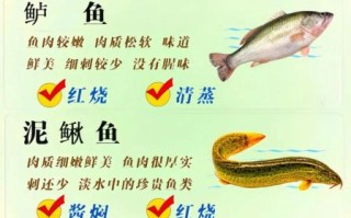 高档淡水鱼养殖品种有哪些_怎么养最赚钱