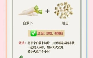 白萝卜止咳化痰的做法_怎么做最有效