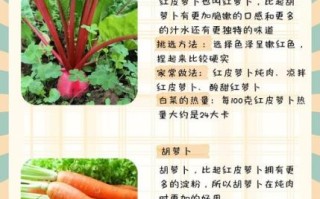 红皮萝卜怎么做好吃_家常红皮萝卜做法大全