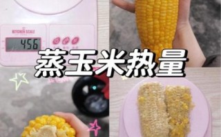 一根玉米的热量是多少卡路里_减肥能吃玉米吗