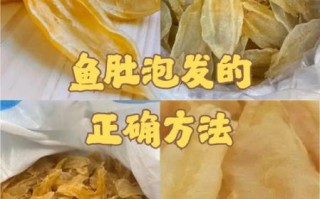 鱼肚怎么泡发_鱼肚最正宗的做法