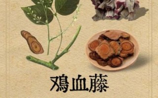 鸡血藤禁忌与副作用_鸡血藤毒性大吗