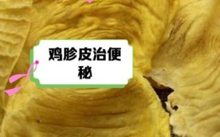 鸡胗皮的功效与作用_鸡胗皮怎么吃好