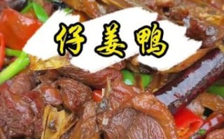 鸭肉怎么做好吃_鸭肉的家常做法大全