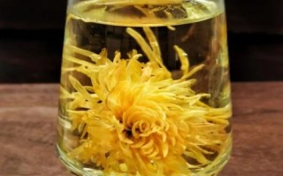 黄金菊的功效与作用_黄金菊泡水喝的禁忌