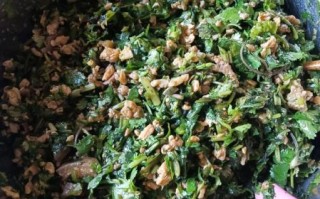 香菜馅饺子怎么调馅_香菜饺子馅怎么调好吃