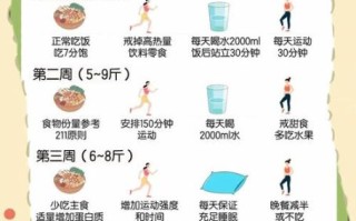 怎样减肥最快最有效_减肥不反弹的方法