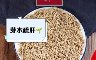 谷芽麦芽陈皮水功效_谷芽麦芽陈皮水适合什么人喝