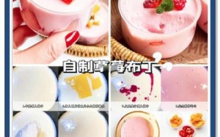水果布丁怎么做_水果布丁需要哪些材料