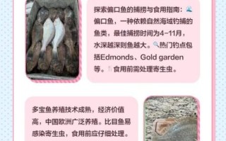 鲽鱼和偏口鱼是一种鱼吗_区别与选购指南