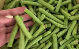 蒸豆角怎么做_蒸豆角需要焯水吗