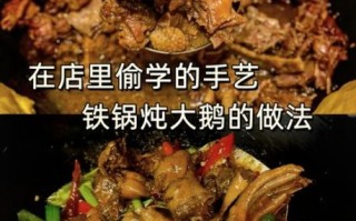 鹅怎么炖好吃_家常炖鹅做法