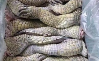 鳄鱼肉怎么做好吃_鳄鱼肉的家常做法