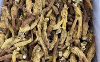 高丽参价格多少钱一克_高丽参真假怎么辨别