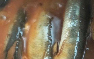 20斤大青鱼怎么做好吃_家常做法步骤