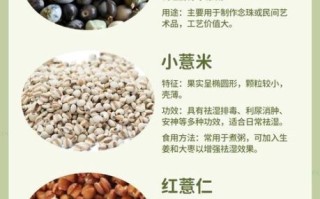 薏米可以天天吃吗_薏米的药用价值有哪些