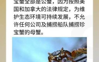 珍宝蟹多少钱一斤_珍宝蟹价格走势