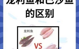 龙利鱼和巴沙鱼哪个贵_价格差距有多大
