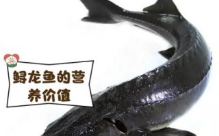 鲟龙鱼为什么要抽鱼筋_鲟龙鱼抽鱼筋有什么作用