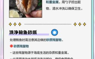 鲍鱼哪些部位不能吃_图解内脏清理步骤