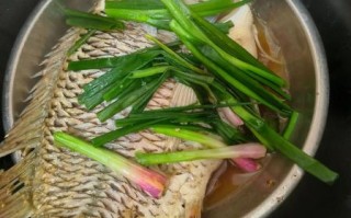 清江鱼清炖怎么做_清江鱼清炖需要焯水吗