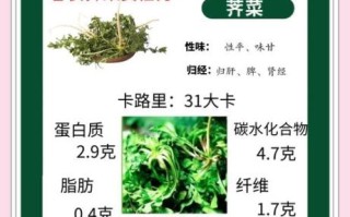荠荠菜的功效与作用_荠荠菜怎么吃最营养